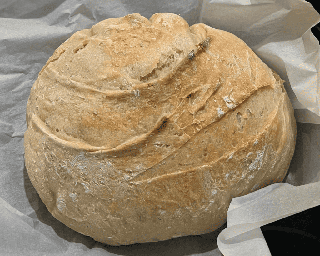 The Bakery - Pauline Manor