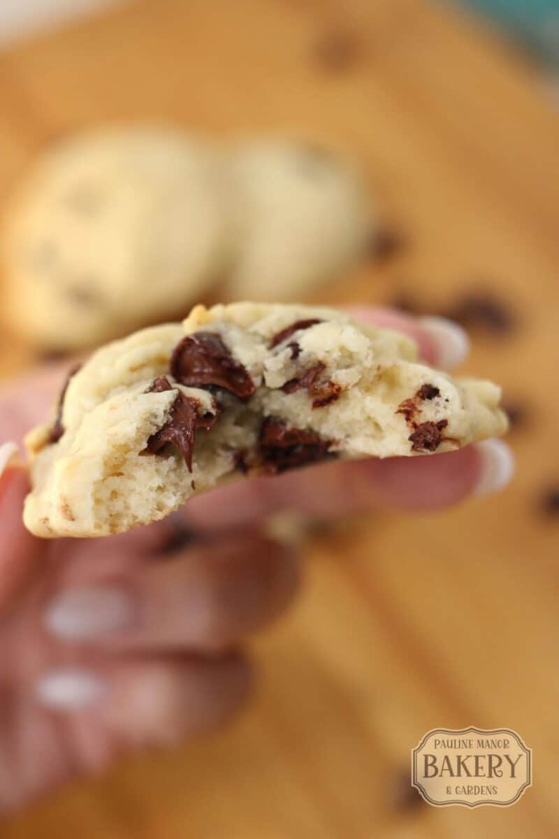 Sourdough Discard Chocolate Chip Cookies - Pauline Manor