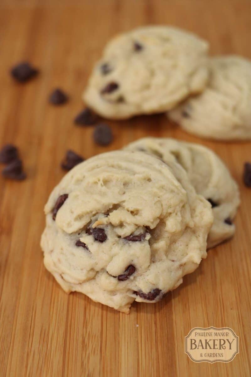 Sourdough Discard Chocolate Chip Cookies - Pauline Manor