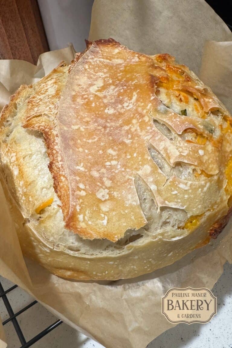 What to Do When You’ve Overproofed Your Dough - Pauline Manor