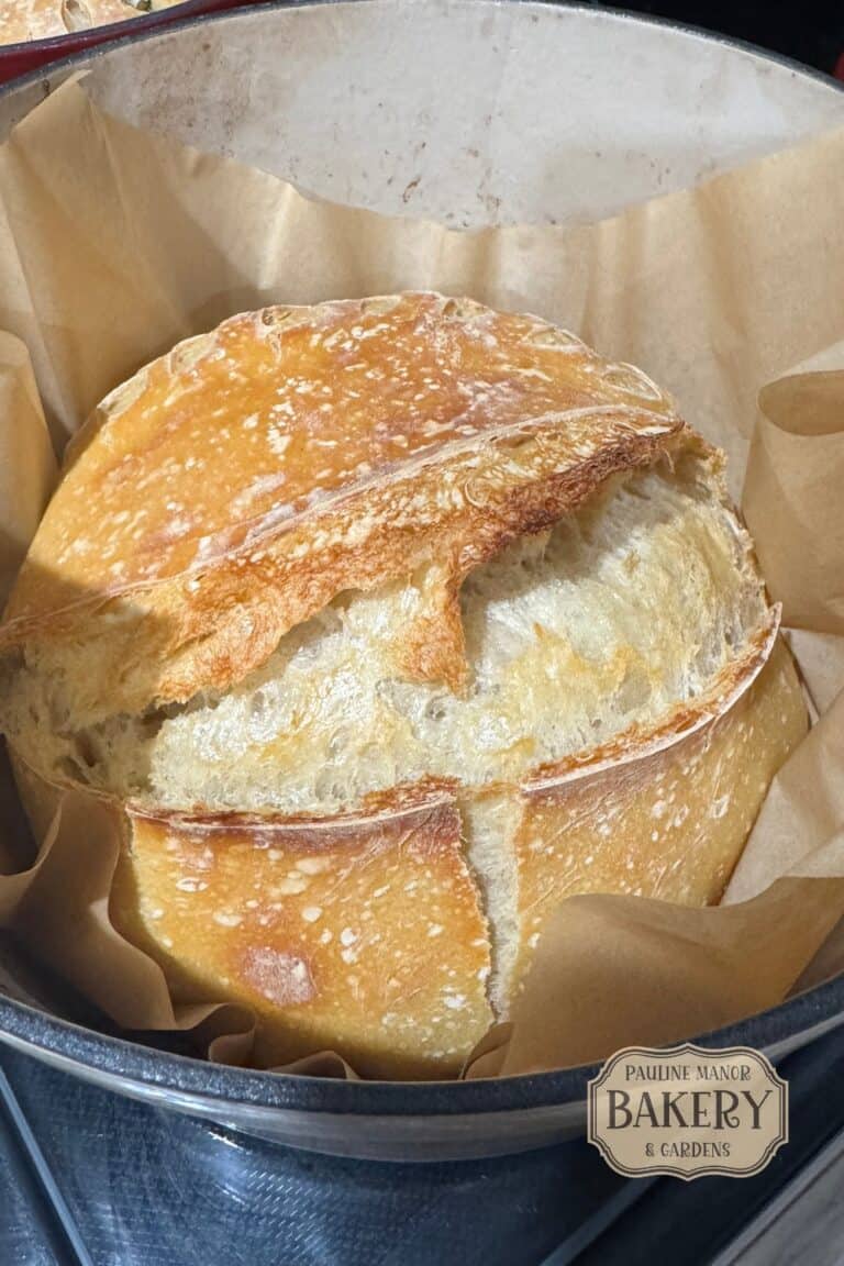 What to Do When You’ve Overproofed Your Dough - Pauline Manor