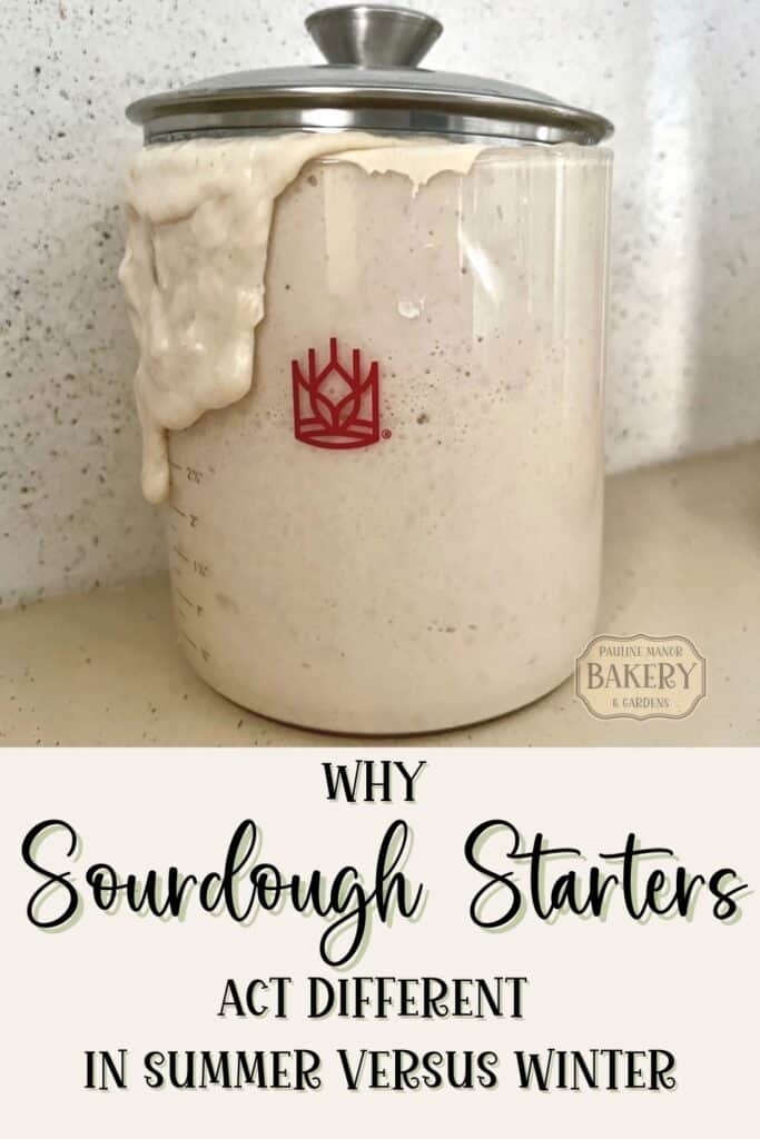 Why Sourdough Starters Act Different in Summer Versus Winter - Pauline ...